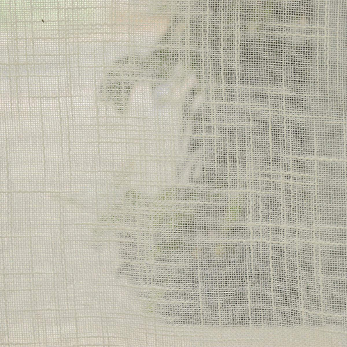 AGRL White Net Sheer Fabrics
